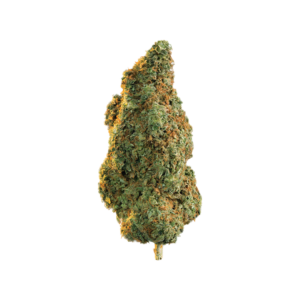 OG Kush: The 5-Star Hybrid That's Still King of the Kush - High Society ...