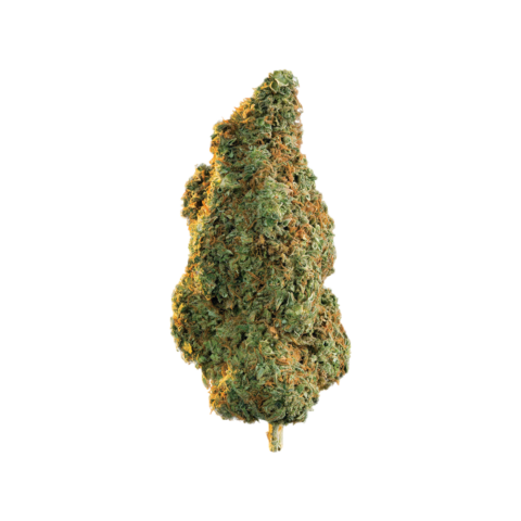 OG Kush: The 5-Star Hybrid That's Still King of the Kush - High Society ...