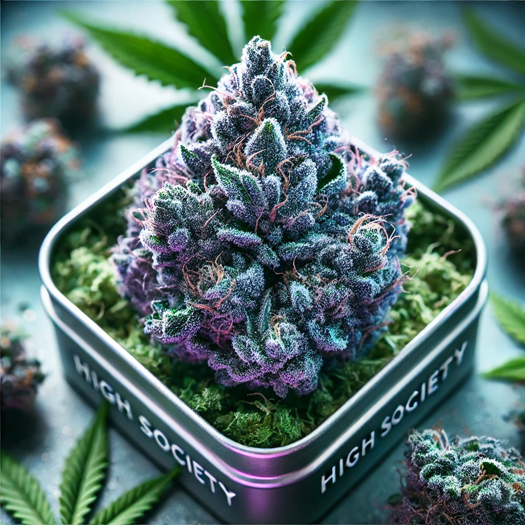 Uncover the Secrets of the Legendary Blueberry Cannabis Strain | High ...