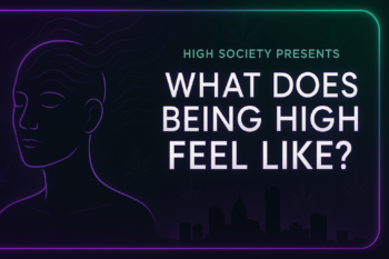 What does being high feel like? - High Society Dispensary